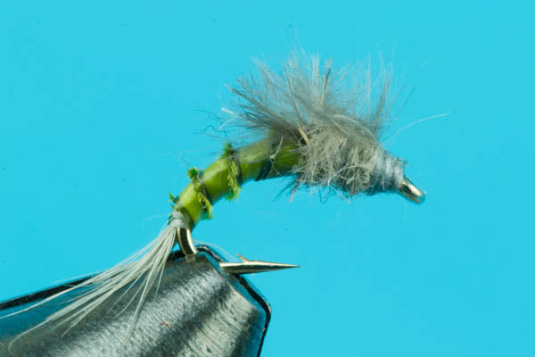 Wonder Nymph-Fishing Flies-BigYFlyCo.com — Big Y Fly Co
